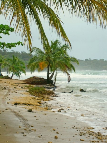 How to Plan a Caribbean Vacation - Andie Mitchell